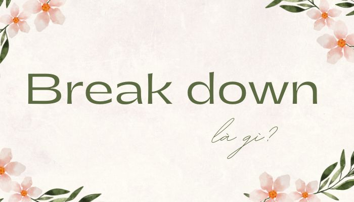 Break down là gì? Ý nghĩa và phân biệt với Breakdown